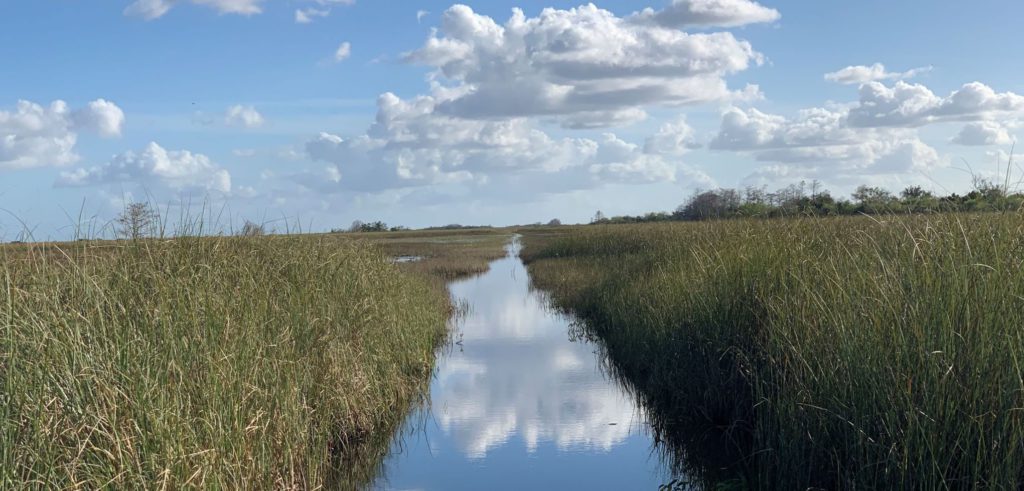 We have worked hard to become that investor, helping to make the path ...